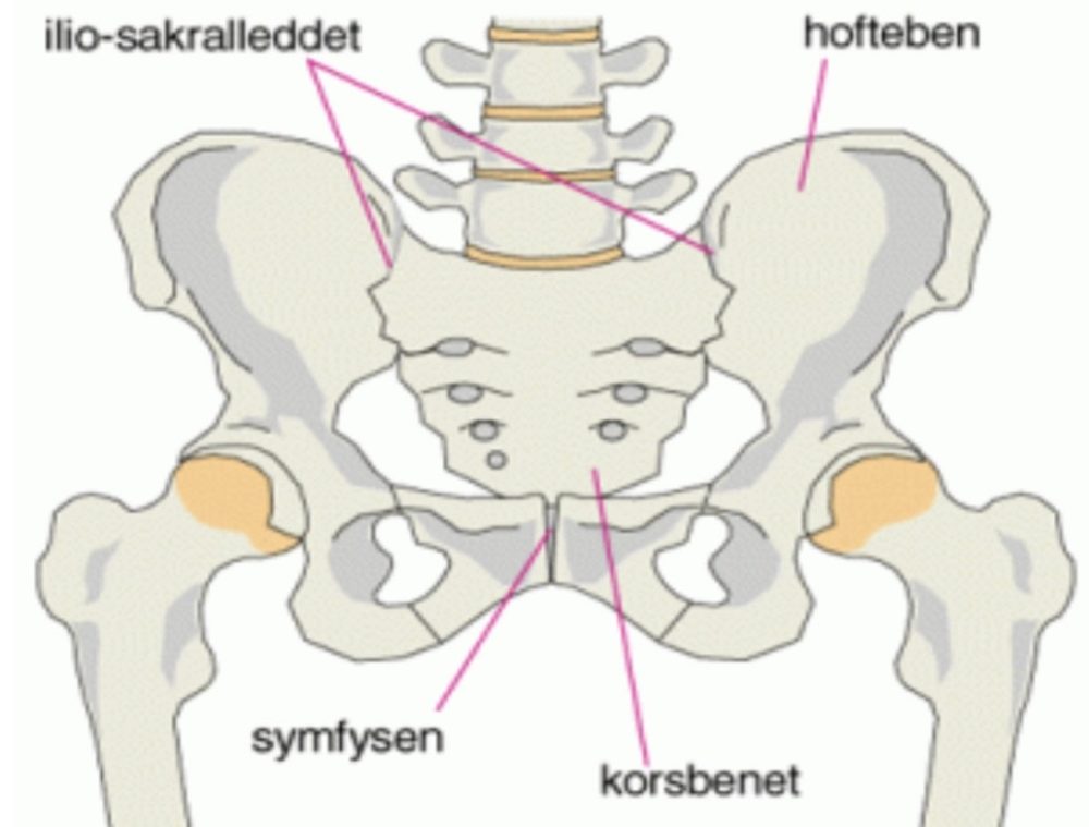 Funksjonell sjekk av mage og bekken etter fødsel | Oslo Kvinnehelsesenter
